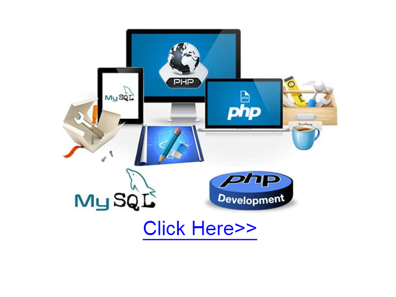 Software Company in Lucknow - Websofy